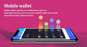 Software Wallet vs Hardware Wallet | Best Cryptocurrency Wallets