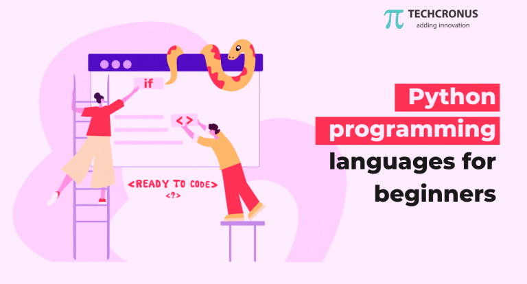Python Programming Language for Beginners | Techcronus